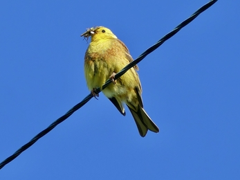 Meeth Quarry Nature Reserve | Devon Wildlife Trust