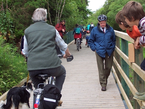 Halwill Junction | Devon Wildlife Trust