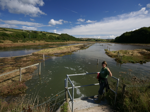 South Efford Marsh | Devon Wildlife Trust