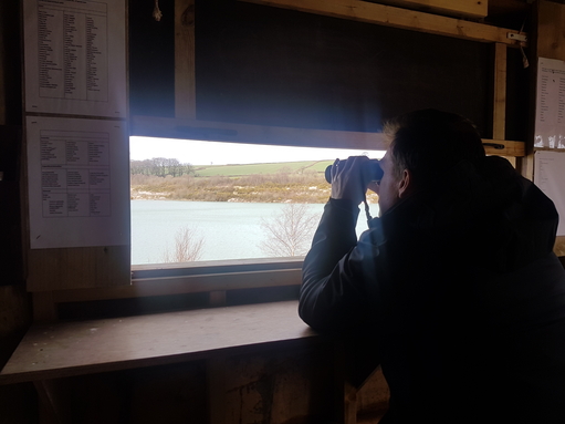 Meeth Quarry Nature Reserve | Devon Wildlife Trust