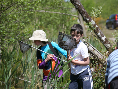 Meeth Quarry Nature Reserve | Devon Wildlife Trust