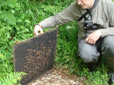 Marsland | Devon Wildlife Trust