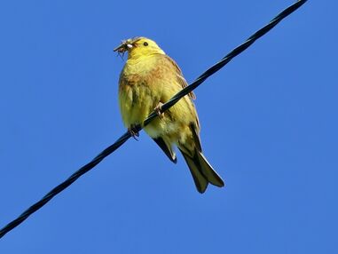 Meeth Quarry Nature Reserve | Devon Wildlife Trust