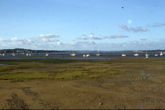 Homepage | Devon Wildlife Trust