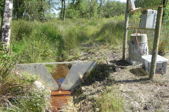 Beavers | Devon Wildlife Trust