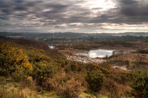 Climate Change & the Environment Act | Devon Wildlife Trust