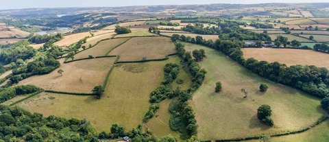 Devon to benefit from The Wildlife Trusts’ Atlantic rainforest recovery ...