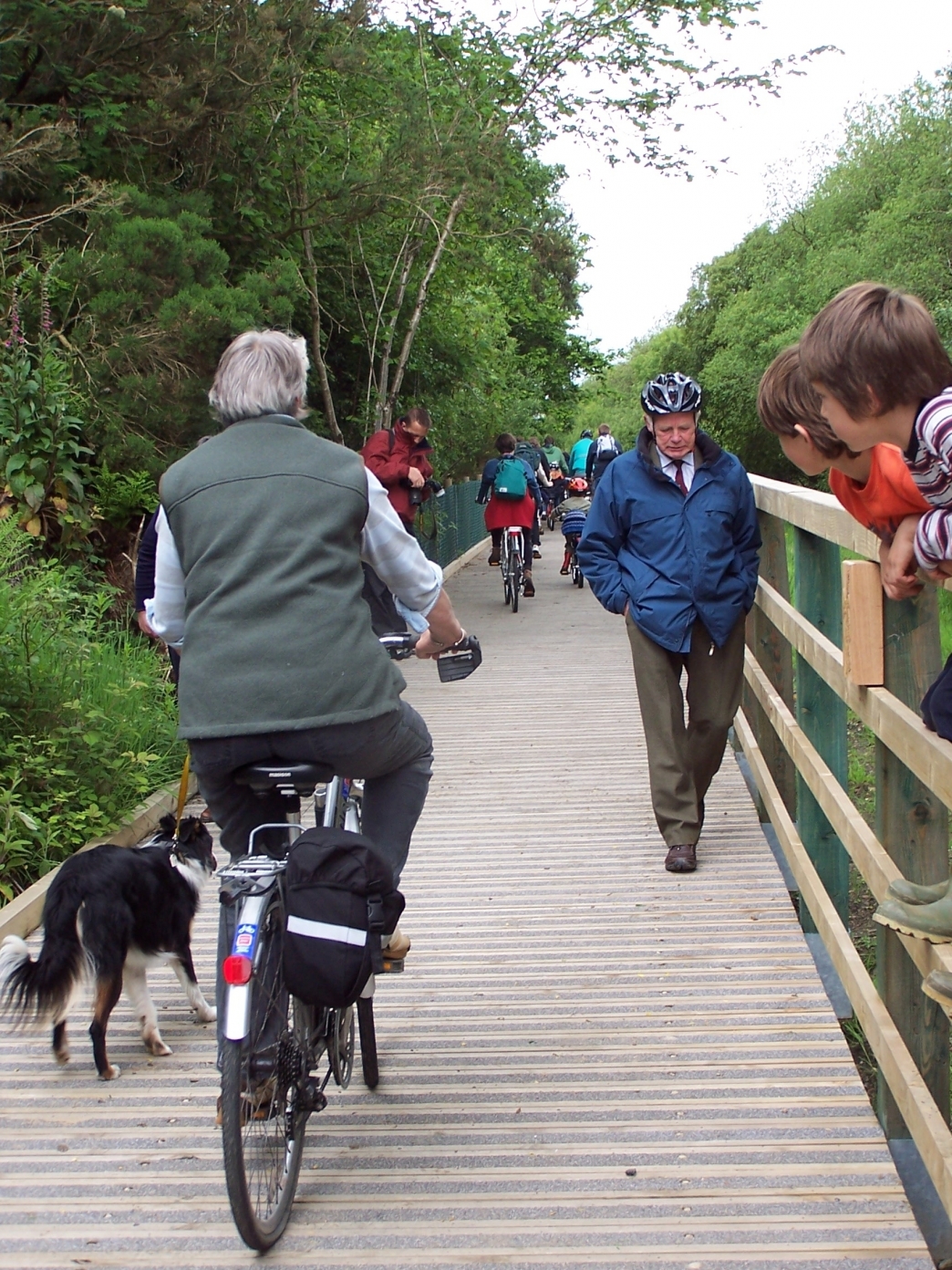 Halwill Junction | Devon Wildlife Trust