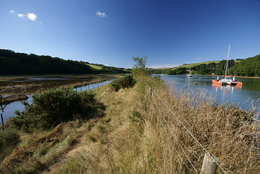South Efford Marsh | Devon Wildlife Trust
