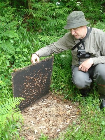 Marsland | Devon Wildlife Trust