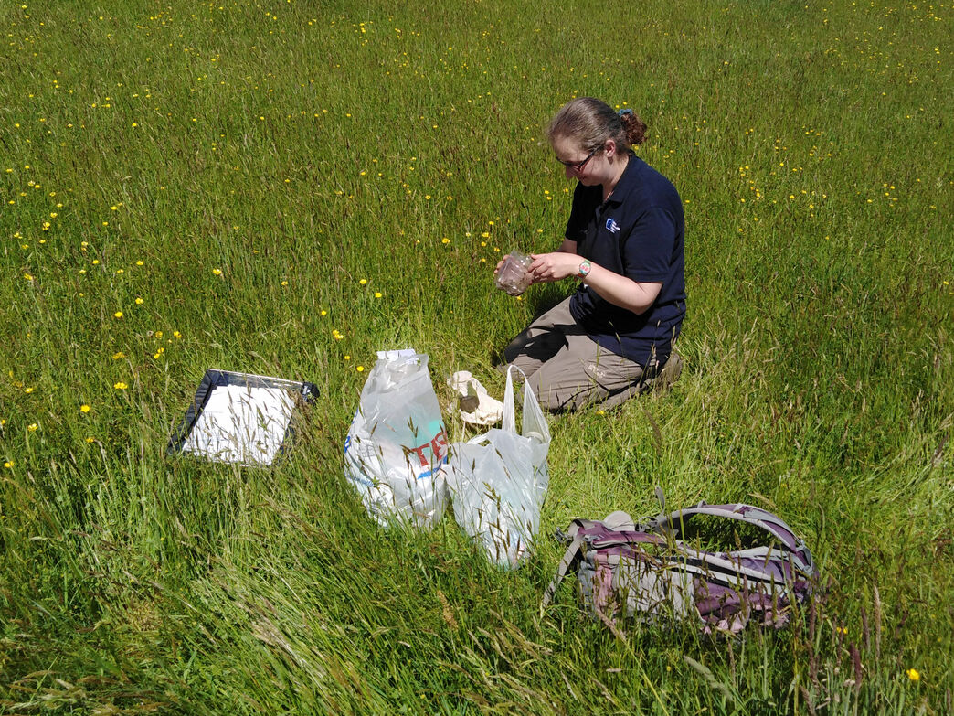 Wilder Woodah | Devon Wildlife Trust