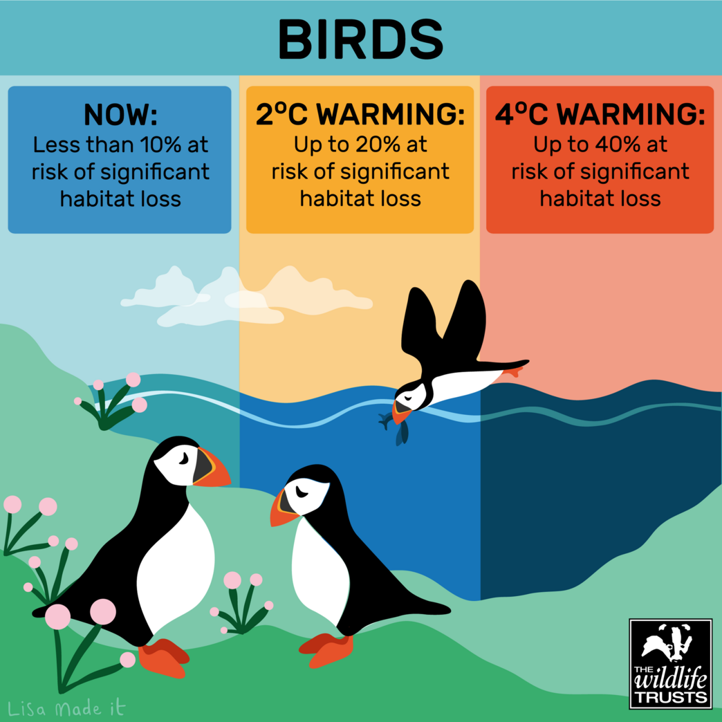 COP26 | Devon Wildlife Trust