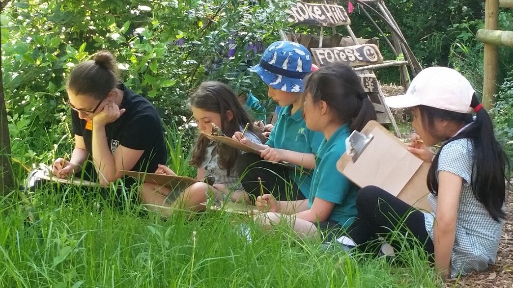Outdoor Learning | Devon Wildlife Trust
