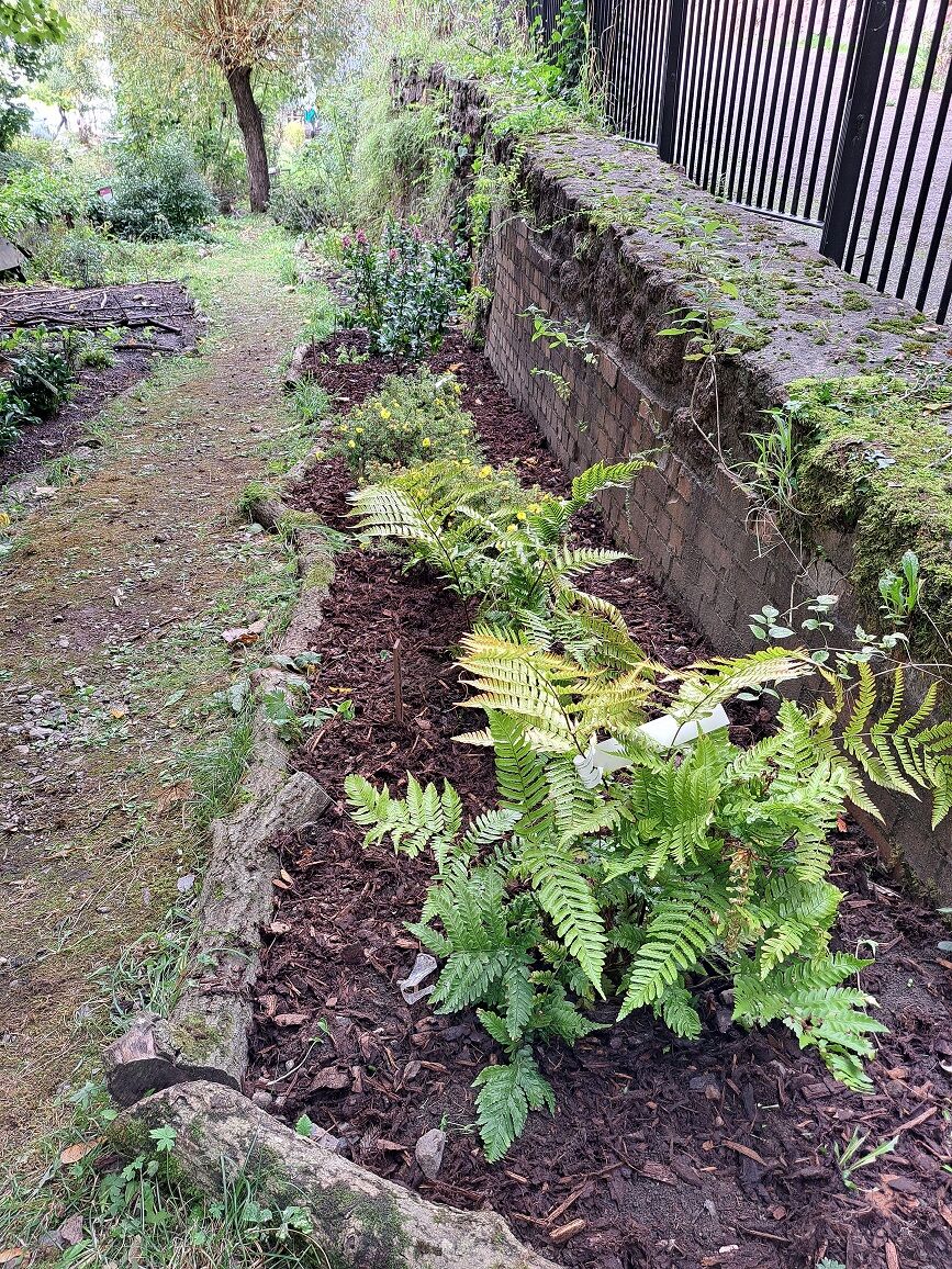 Cricklepit Mill Wildlife Garden | Devon Wildlife Trust
