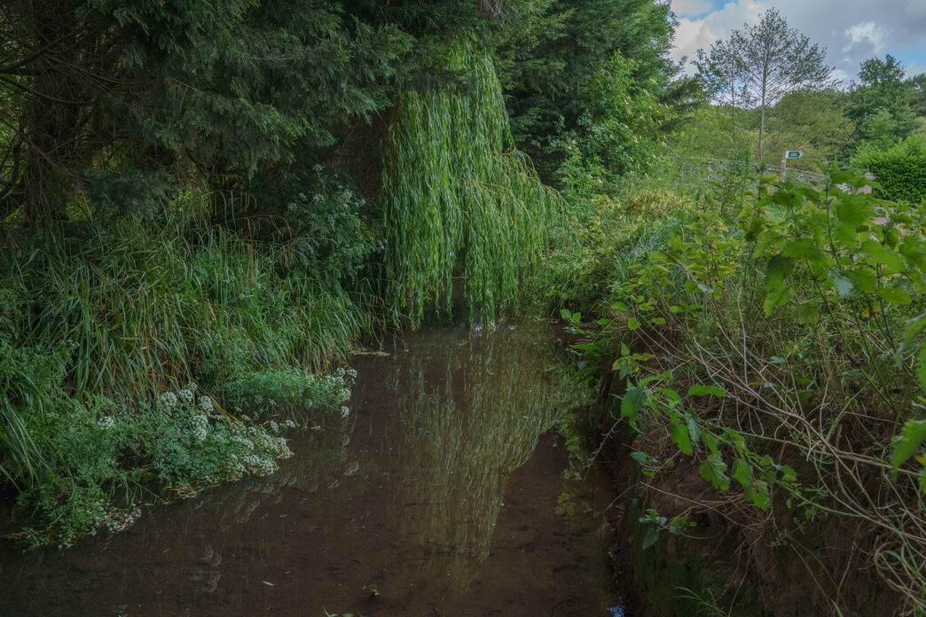 Northbrook Park | Devon Wildlife Trust
