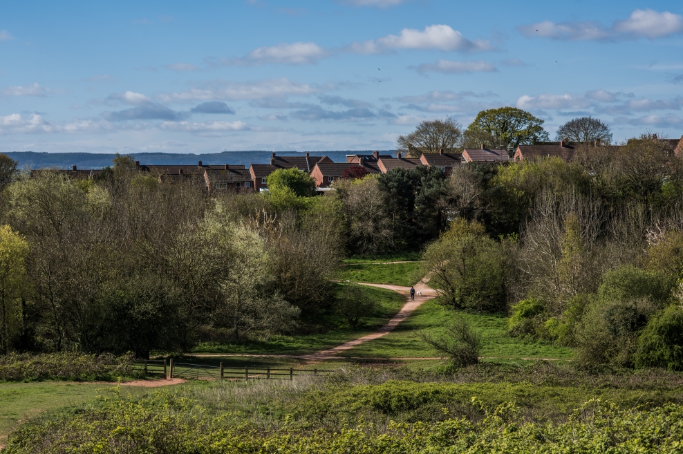 Exeter Valley Parks | Devon Wildlife Trust