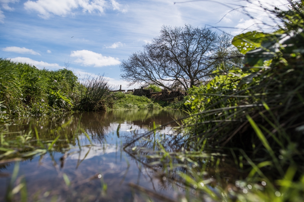 Exeter Valley Parks | Devon Wildlife Trust