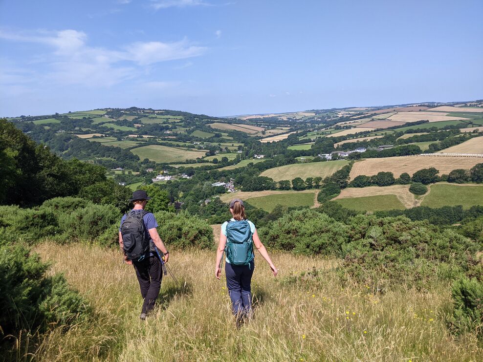 Wilder Woodah | Devon Wildlife Trust