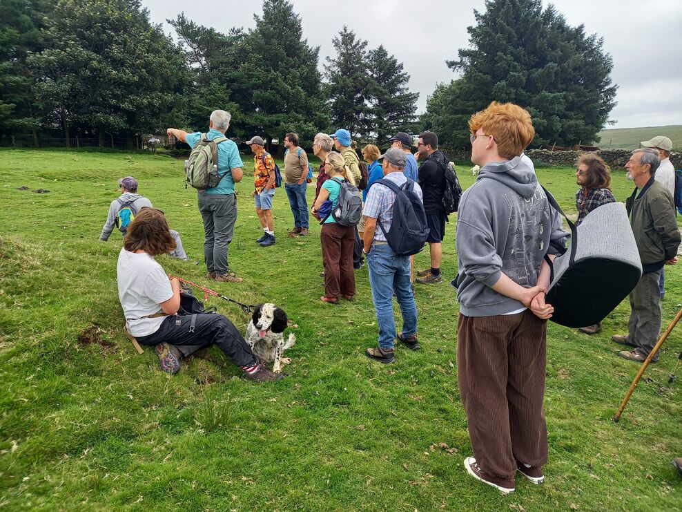 The River Plym Project | Devon Wildlife Trust