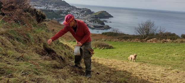Wilder Diaries: Creating wildflower meadows at Hillsborough | Devon ...