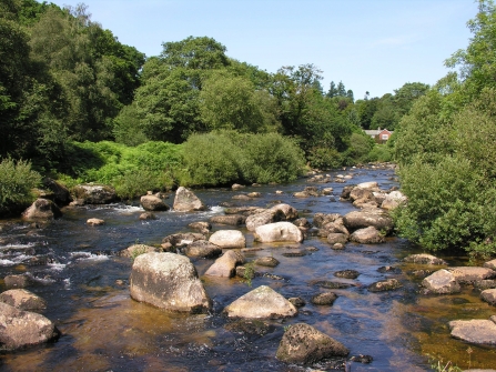 Discover wildlife on the river | Devon Wildlife Trust