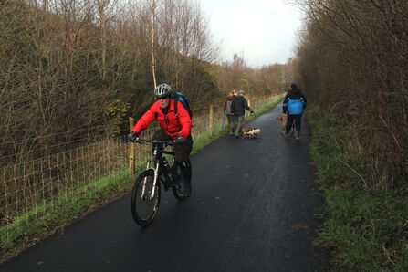Teigngrace Meadow | Devon Wildlife Trust