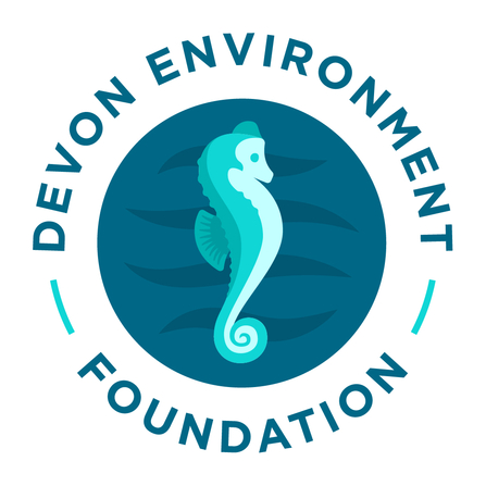 Beavers in the wild | Devon Wildlife Trust