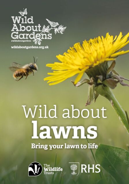 Gardening for Wildlife | Devon Wildlife Trust